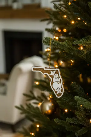 MATR BOOMIE Florida State Orange Blossom Ornament