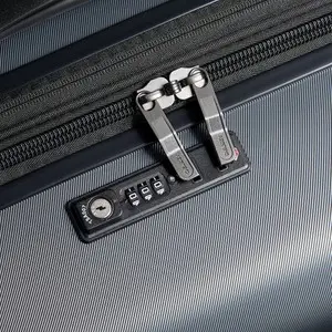 DELSEY PARIS Cruise 3.0 Hardside Expandable Large Checked Spinner Luggage - Graphite