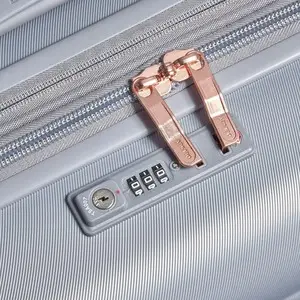 DELSEY PARIS Cruise 3.0 28" Expandable Upright Luggage - Platinum