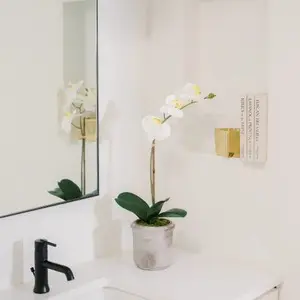 CG HUNTER 22" Artificial Phalaenopsis Orchids Set Of 2 - White