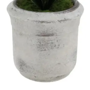 CG HUNTER 22" Artificial Phalaenopsis Orchids Set Of 2