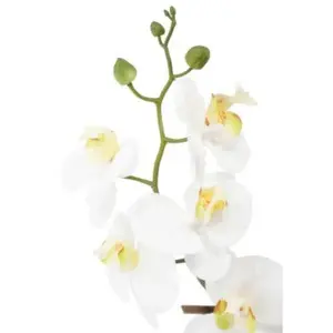 CG HUNTER 22" Artificial Phalaenopsis Orchids Set Of 2