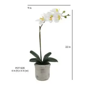CG HUNTER 22" Artificial Phalaenopsis Orchids Set Of 2