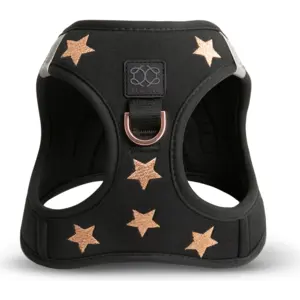 DOGISTRY Soho Dog Harness - Rockstar