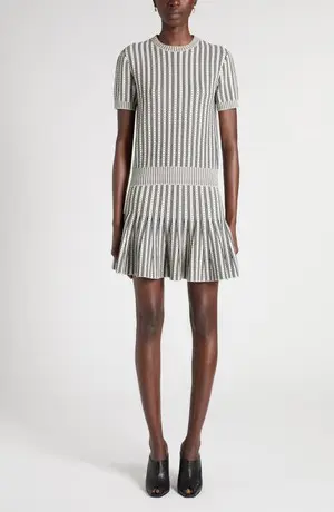 Alexander McQueen Jacquard Stripe Knit Miniskirt