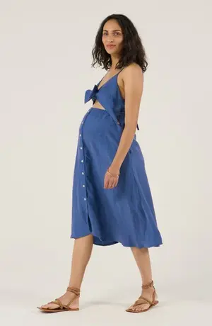 CACHE COEUR Nolwenn Maternity & Nursing Knot Dress - Blue