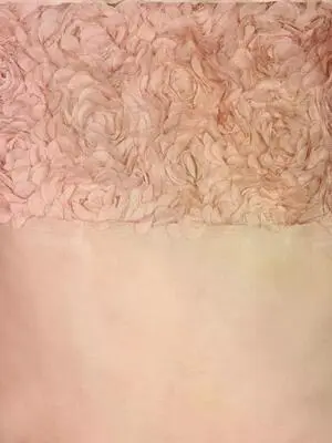 HUI HUI Sleeveless Floral Appliqué Mini Dress