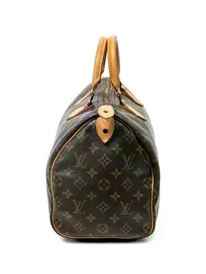 LOUIS VUITTON Speedy 30 Tote Bag