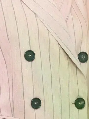 D.exterior Embellished Pinstripe Jacket