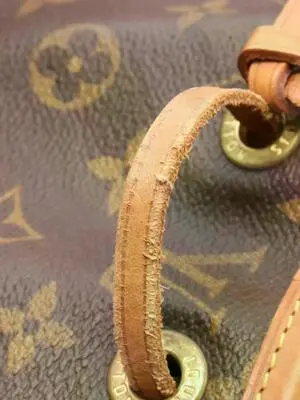 LOUIS VUITTON Montsouris Mm Backpack