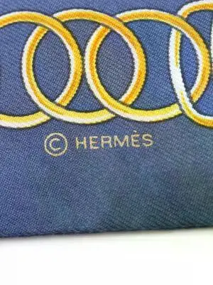 Hermès Lift Profile Twilly Scarf