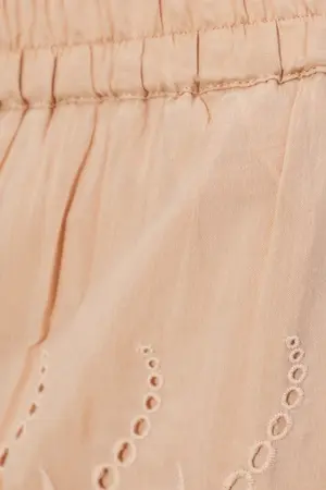 ALLSAINTS Camille Embroidered Maxi Skirt - Pink