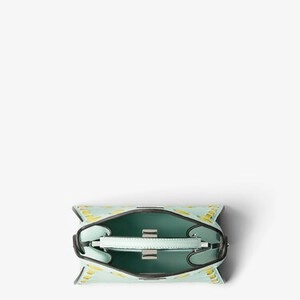 Fendi Peekaboo Iseeu Petite Bag