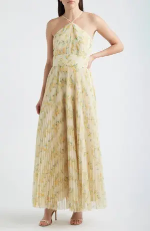 HUTCH Blaine Pleated Floral Halterneck Gown