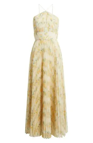 HUTCH Blaine Pleated Floral Halterneck Gown