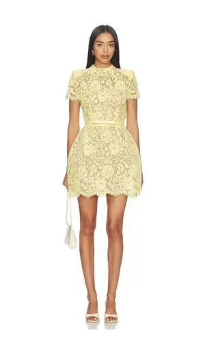 NADINE MERABI Lace Dress