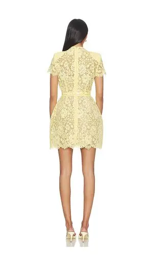 NADINE MERABI Lace Dress