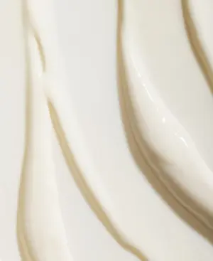 PHILIP B. Philip B Everyday Beautiful Conditioner