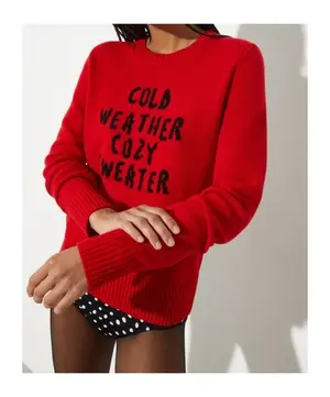 MAXCO. Max&co. Crew Neck Long Sleeve Sweater