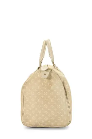 LOUIS VUITTON Mini Lin Speedy 30 Bag