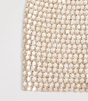 Valentino Garavani Embroidered Organza Mini Skirt