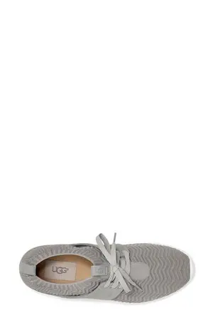 UGG Willows Lace-up Knit Sneakers