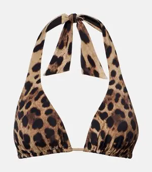 Dolce & Gabbana Leopard-print Triangle Bikini Top - Brown