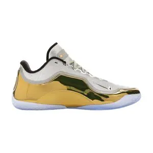 Nike Zoom Lebron 23 "dreams And Nightmares" Low Top Sneakers - Gold