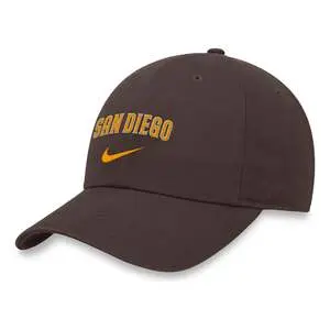 Nike Nike Sportswear Phoenix Fleece Oversized Pullover Hoodie Brown