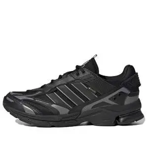 Adidas Adidas Spiritain 2000 GORE-TEX Low Top Sneakers Black/gray