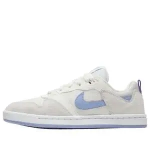 Nike Alleyoop Sneakers