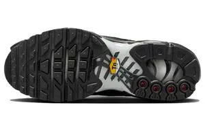 Nike Max Plus Sneakers
