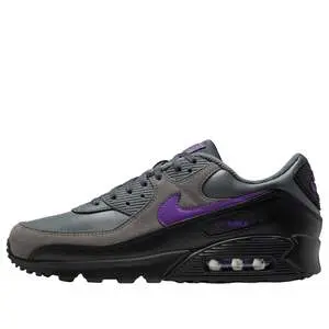 Nike Nike Air Max 90 Sneakers Iron Grey/black/wild Grape