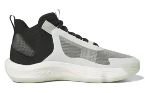 Adidas Adizero Select High-top Basketball Shoes