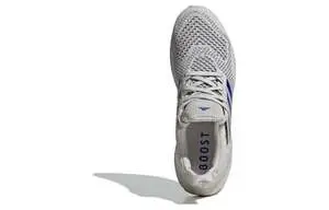 Adidas Ultraboost 1.0 Sneakers - Sliver/blue