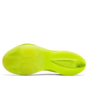 Nike Zoom Double Stacked Low Top Sneakers
