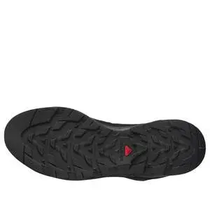 SALOMON X Carhartt Wip X-alp