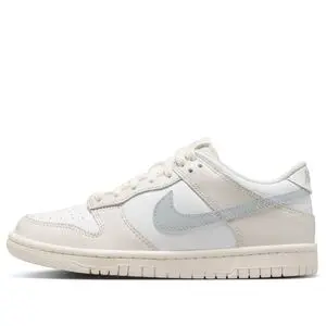Nike Dunk Low Sneakers