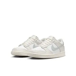 Nike Dunk Low Sneakers