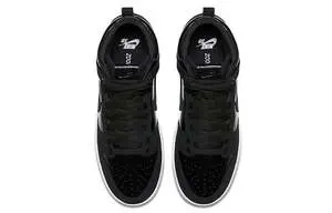 Nike Zoom Dunk High Pro Iridescent - Black