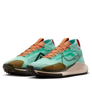 Nike Pegasus Trail 4 Gtx Running Shoes - Teal/brown