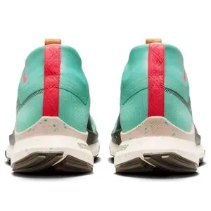 Nike Pegasus Trail 4 Gtx Running Shoes - Teal/brown