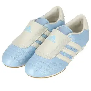 Adidas Taekwondo Sneakers