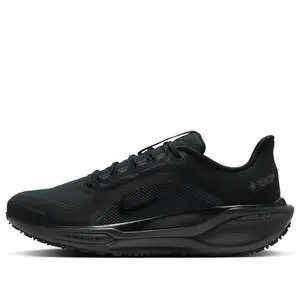 Nike Nike Air Zoom Pegasus 41 Gore-Tex Sneakers Black/black