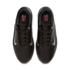Nike Tiger Woods Golf Shoes