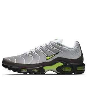 Nike Nike Air Max Plus Sneakers White/pearl Grey/black