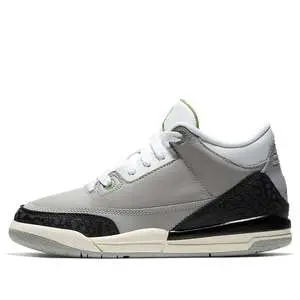JORDAN Retro 3 'chlorophyll' Sneakers - Grey
