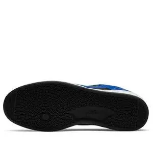 Nike Alleyoop Sb 'royal' Low Top Sneakers - Black