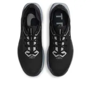 Nike Pegasus Trail 5 Gore-tex Sneakers - Black/wolf Grey