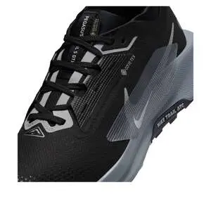Nike Pegasus Trail 5 Gore-tex Sneakers - Black/wolf Grey